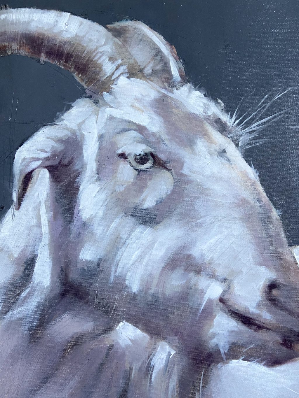 Portrait of a Goat with a Jingle Bell Original Oil Painting for Sale by ...